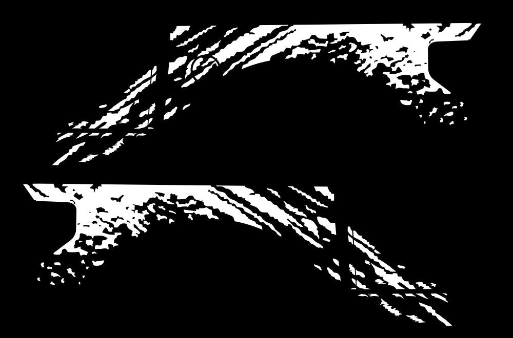 Ford Raptor Vinyl Graphics - Splash – RacerX Customs