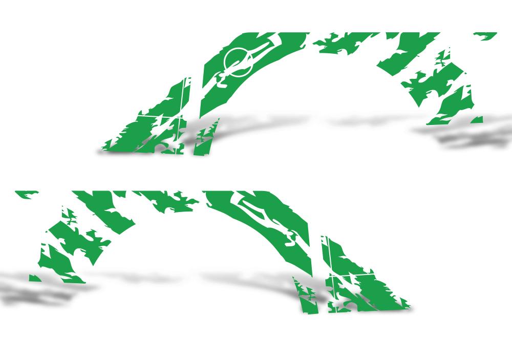 Ford Raptor Vinyl Decal Graphics – RacerX Customs