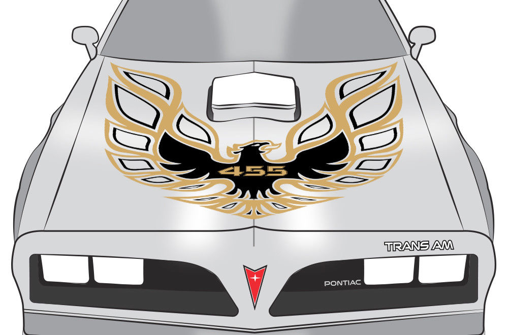 Pontiac Trans Am Hood Graphics – RacerX Customs